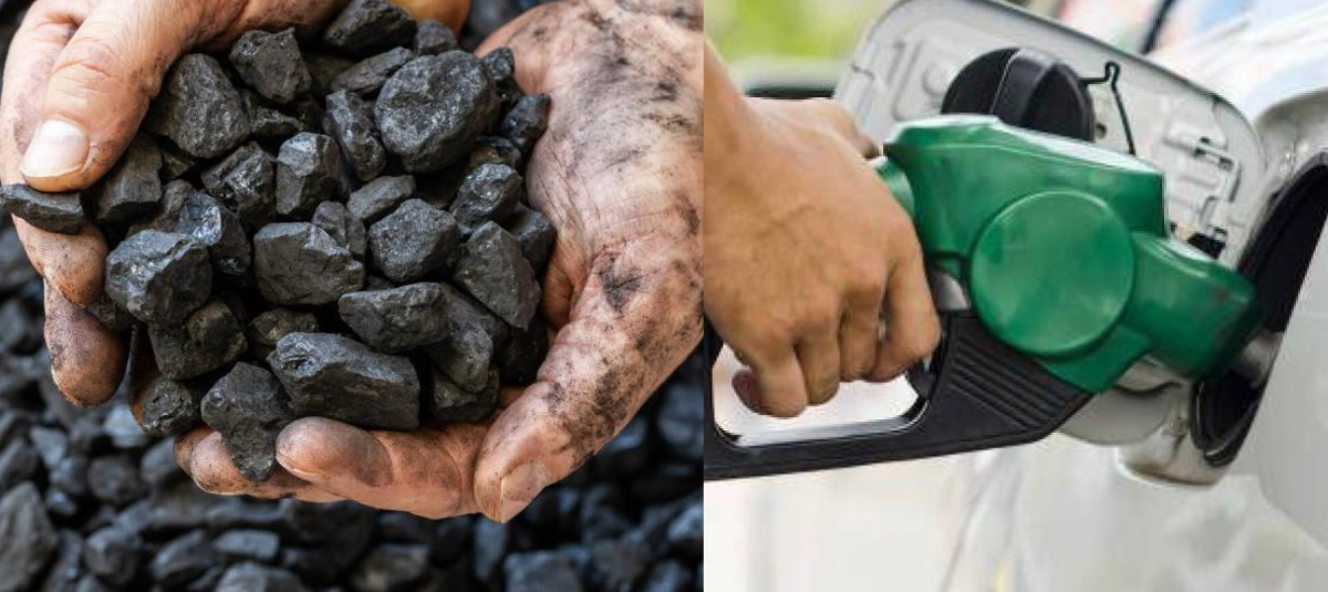 Combustible: ¿Cuál fue el primer combustible en la historia?