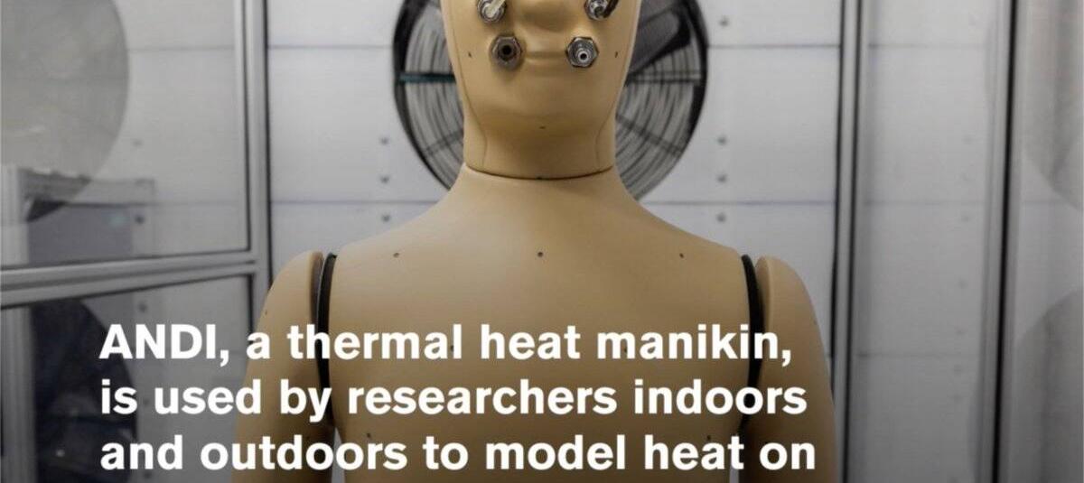 Conozca a Andi, el primer robot con fisiología humana, puede sudar y ...