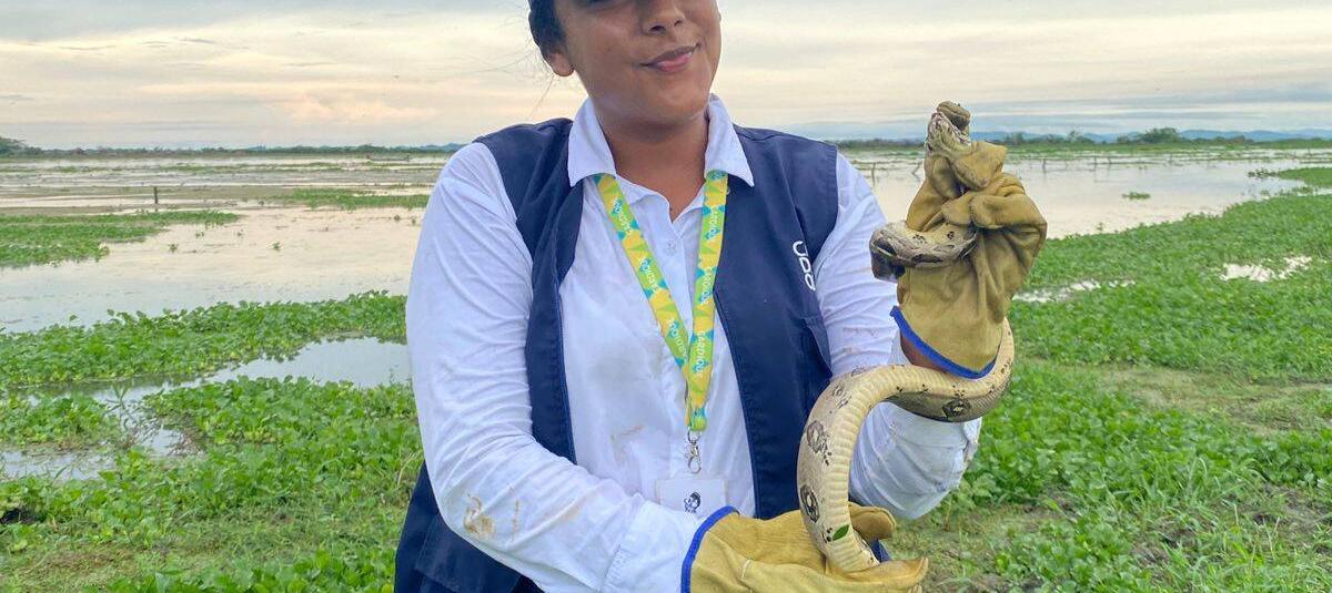 Animales: Cardique lidera liberación de especies con el apoyo de la CAR ...