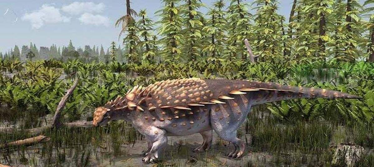 Vectipelta barretti: la nueva especie de dinosaurio acorazado ...