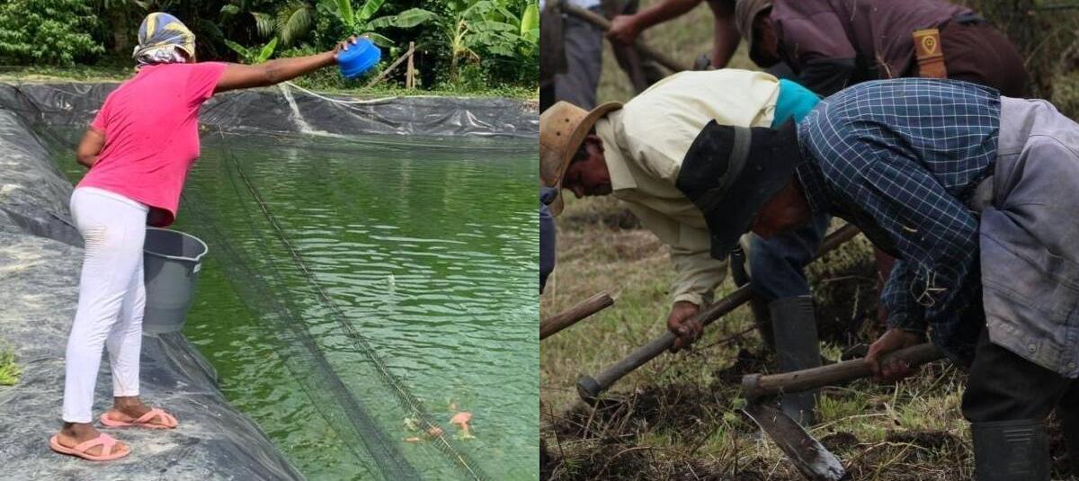 PDET: los retos y las deudas tras seis años de su implementación