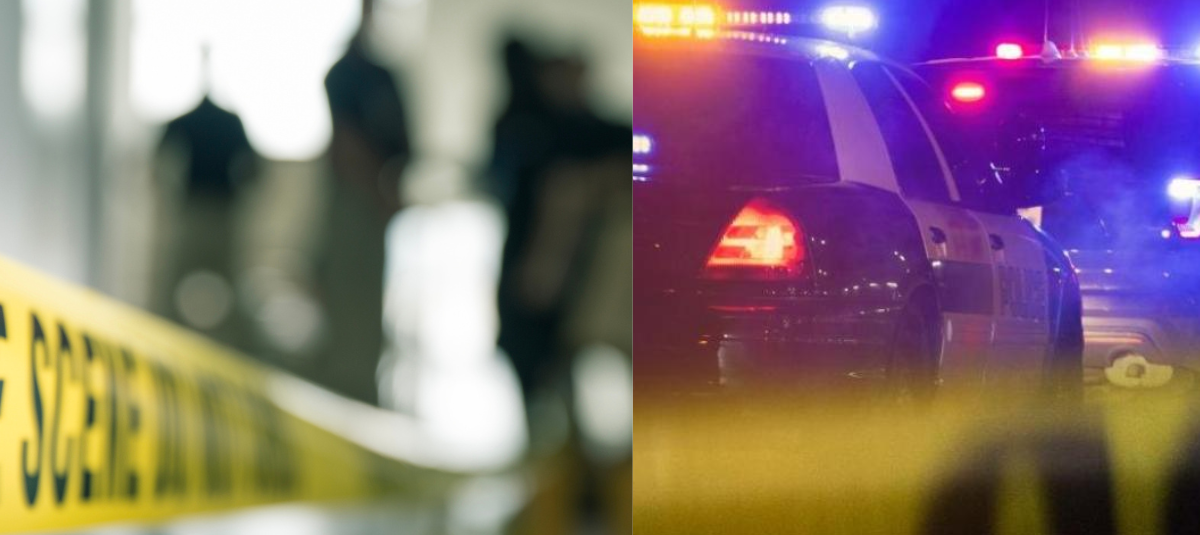 Revelador estudio sobre el impacto de los desmembramientos en ...