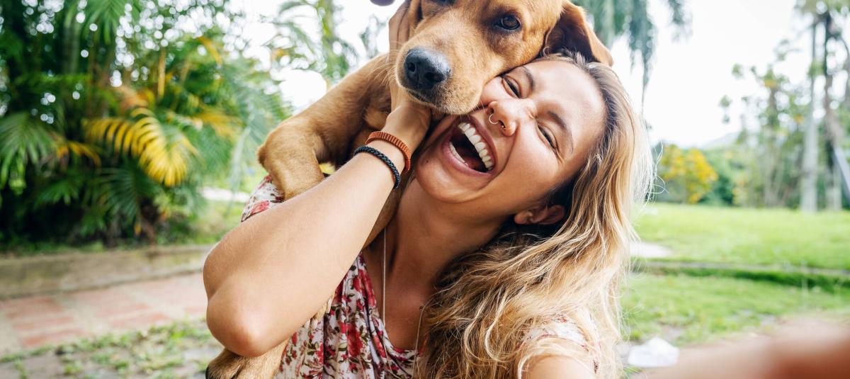 Día del Amor y la Amistad: ideas para celebrar este día con su mascota