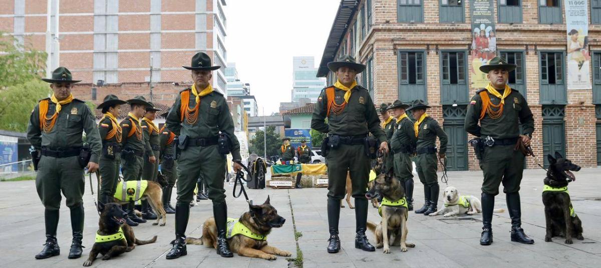 Medellín: Condecoran a cuatro perros que terminaron su servicio en la Policía