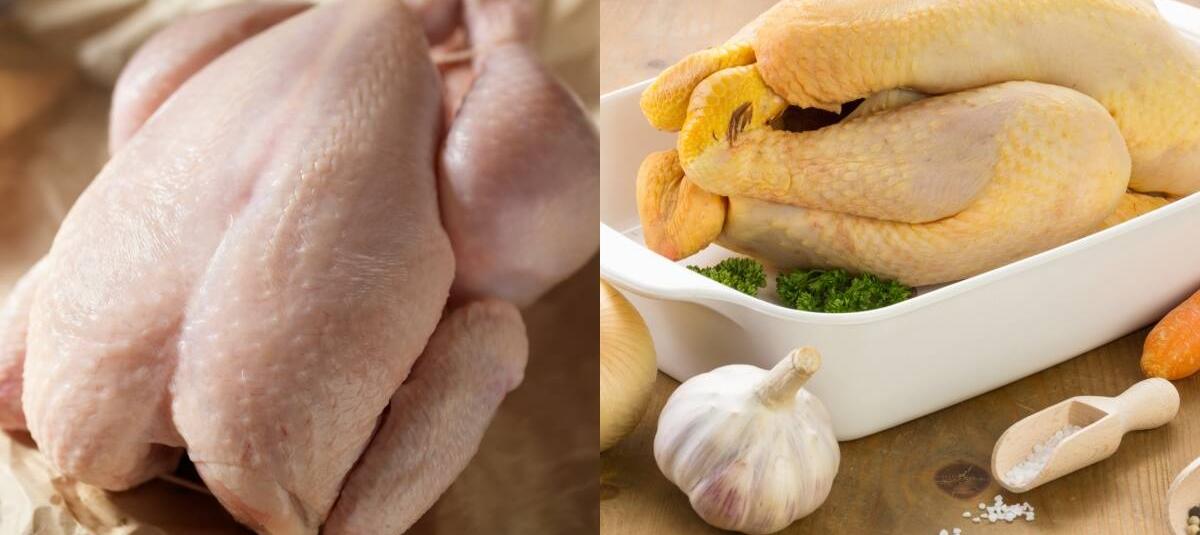 ¿Por qué hay pollo amarillo y pollo blanco? ¿Cuál es mejor?