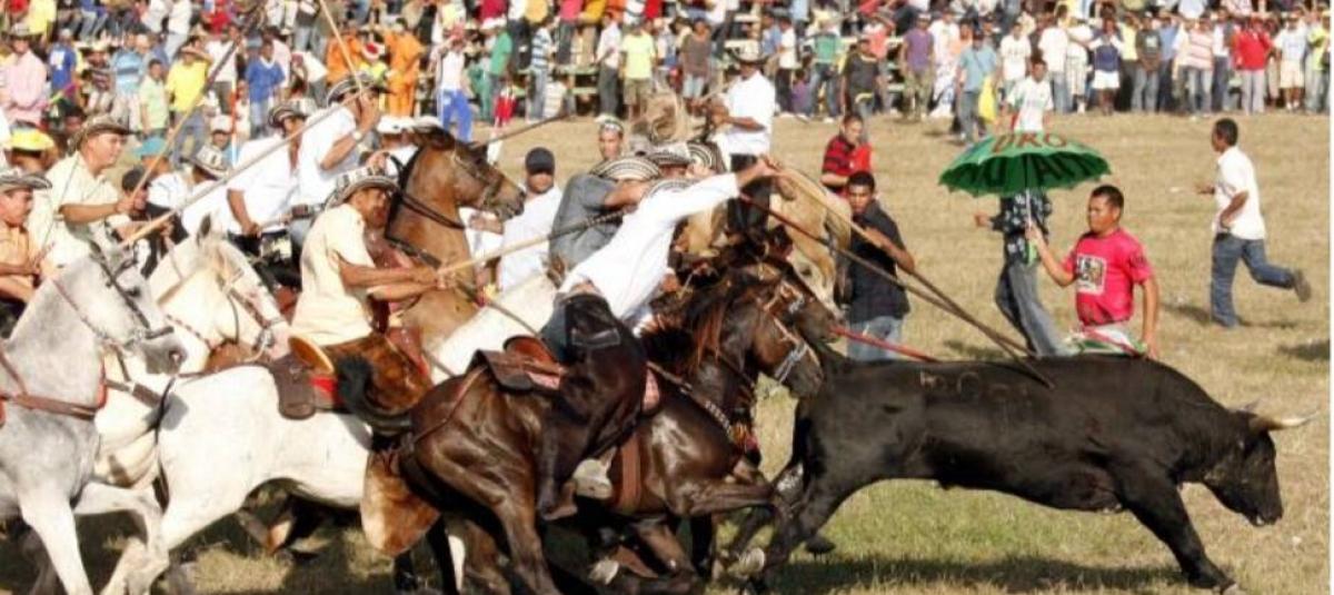 El pueblo aprueba las Fiestas en Corralejas de Sincelejo 2024