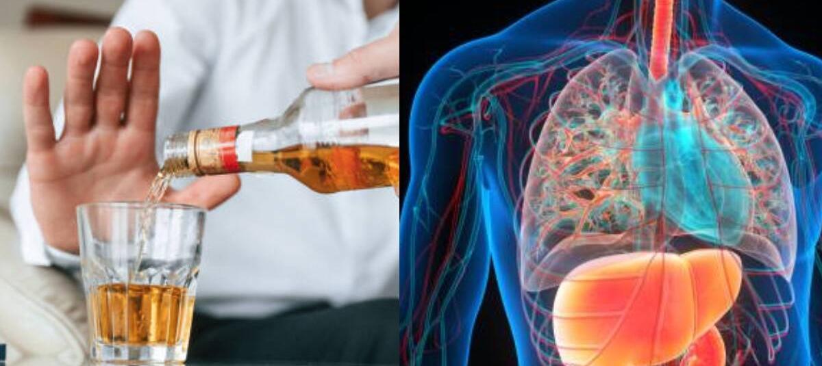 ¿Qué le sucede al cuerpo cuando deja de tomar alcohol y cómo es la ...