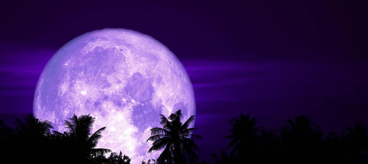 Luna del Lobo: así se vio la luna llena en Colombia: ¿cuándo se podrá ...