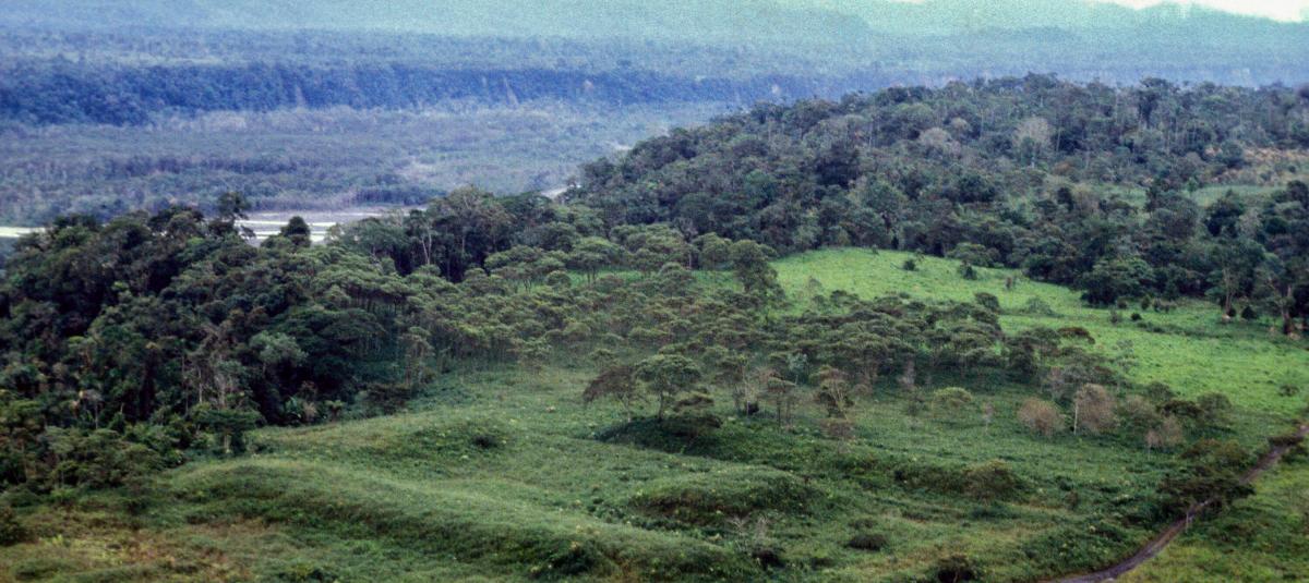 Amazonia: hallan restos de ciudades antiguas en esta selva tropical