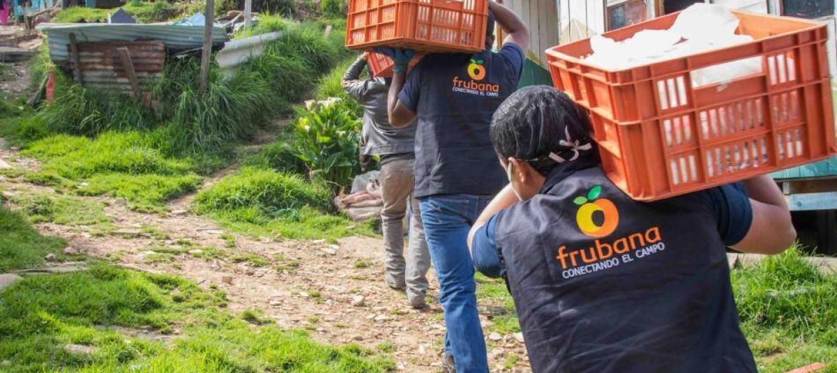 Frubana se va de Colombia, porque se enfocará en Brasil
