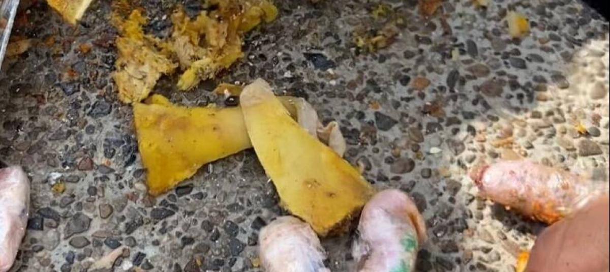 Antioquia: camuflan droga en huesos de pollo que iban para preso en ...