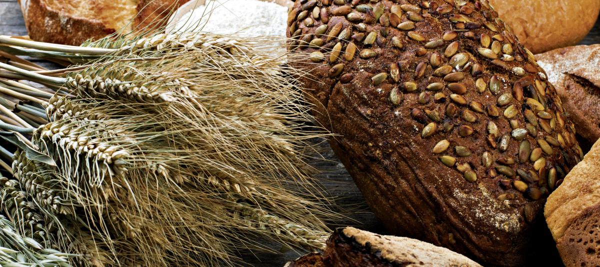 Pan integral: tipos, ingredientes y procesos de elaboración