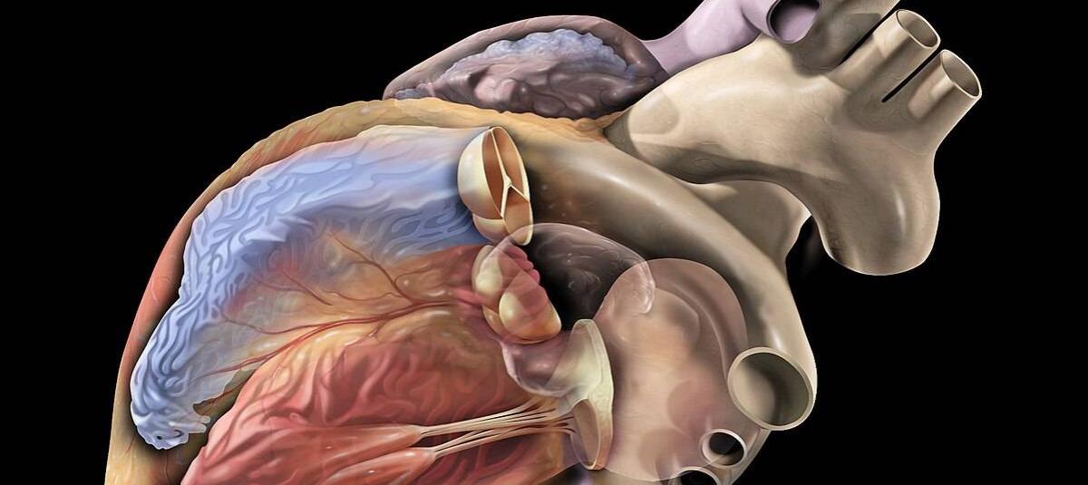 Nuevo modelo de IA promete precisar el diagnóstico y tratamiento de ...