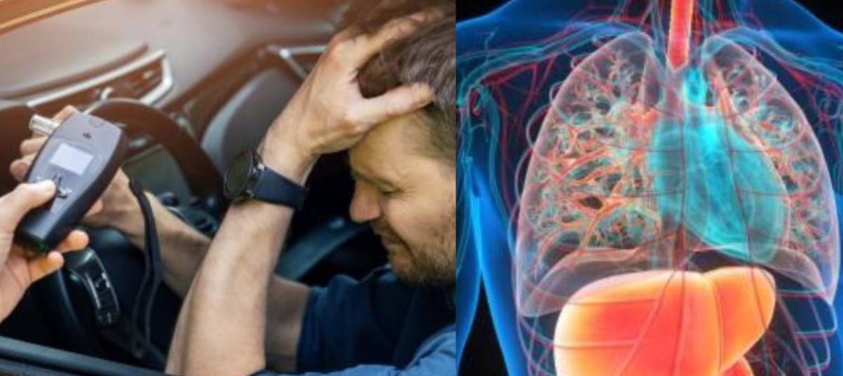 Liberan a hombre que manejaba ebrio por extraña razón: su cuerpo ...