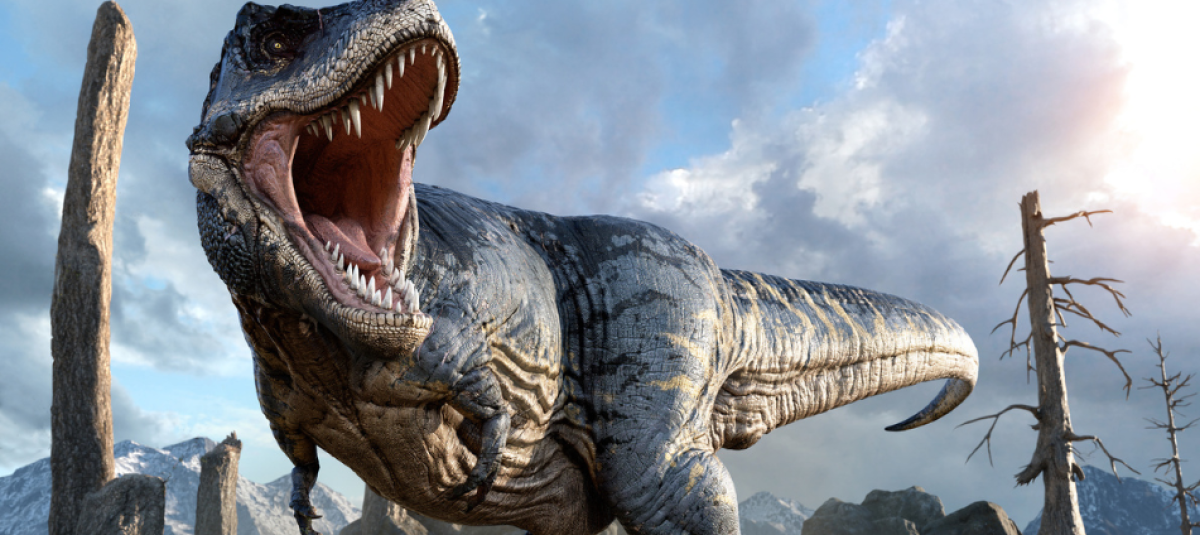 El T. Rex podría haber sido un 70 % más pesado de lo que sugieren las pruebas fósiles, estiman ...