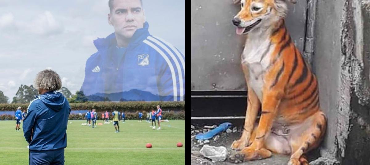 Millonarios sueña con la llegada de Falcao y los memes ya predicen cómo ...