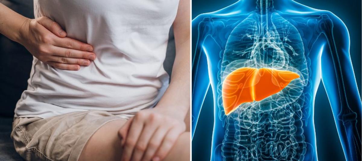 Los síntomas del hígado graso que usted puede estar pasando por alto