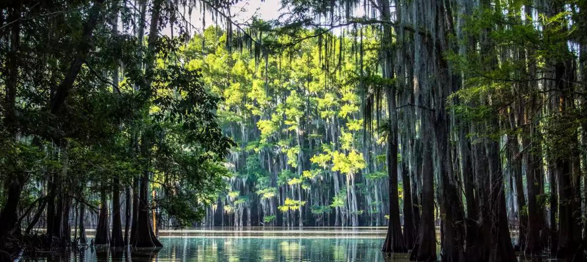 Los 5 lugares más hermosos y poco conocidos de Texas, según una texana ...