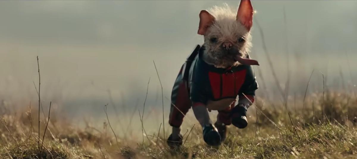 'Dogpool': ¿quién es el perro que debutará en Deadpool y Wolverine, que ...