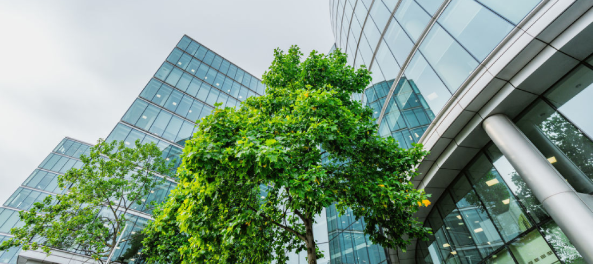 Así sería el próximo edificio más grande del mundo que almacenará ...