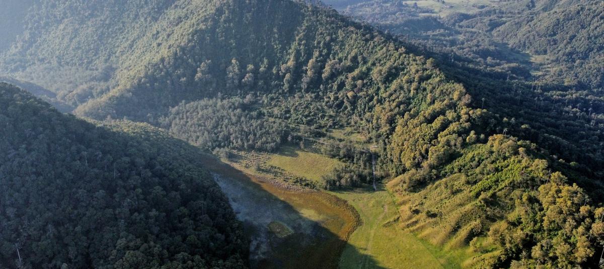 La vida dentro del cráter de Cerro Machín, el volcán enano y altamente ...