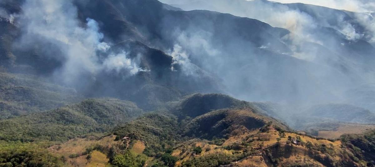 En este momento, incendios forestales afectan a 18 municipios en Colombia