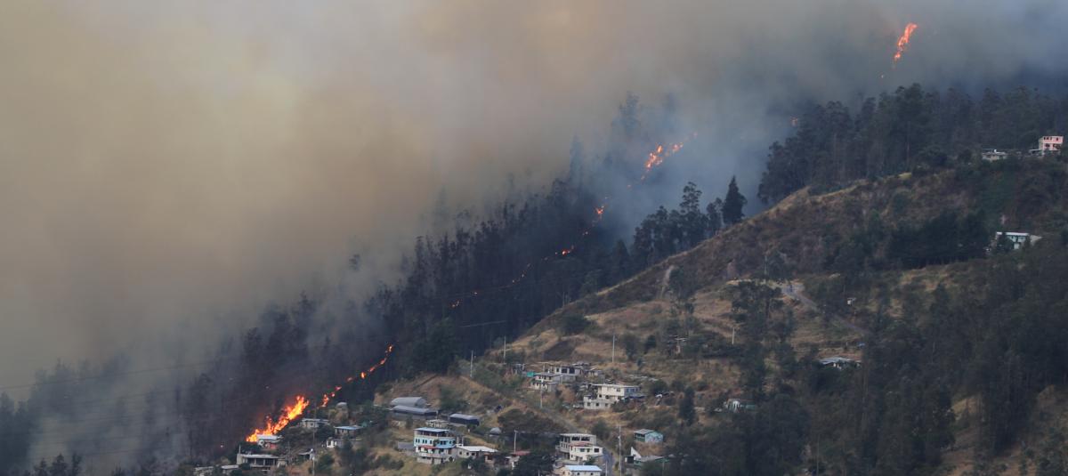 Al menos 38.000 hectáreas arrasadas y 1.000 damnificados: el impacto ...