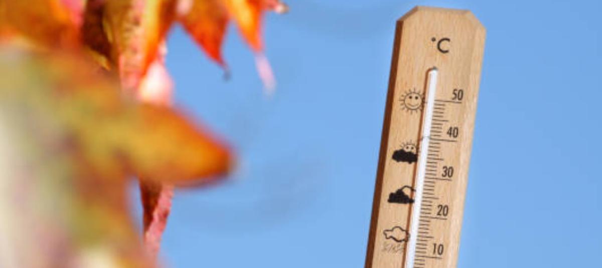 ¿Cómo es el clima en Texas todo el año? Los detalles mes por mes