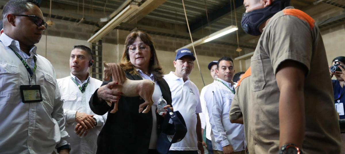 Ante falencias en el sistema penitenciario, el Inpec anunció plan para ...