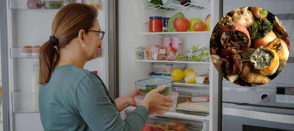 ¿Se le echan a perder fácil los alimentos? Cinco recomendaciones para ...