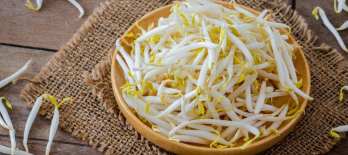 ¿Para qué sirve comer brotes de soja? Harvard responde