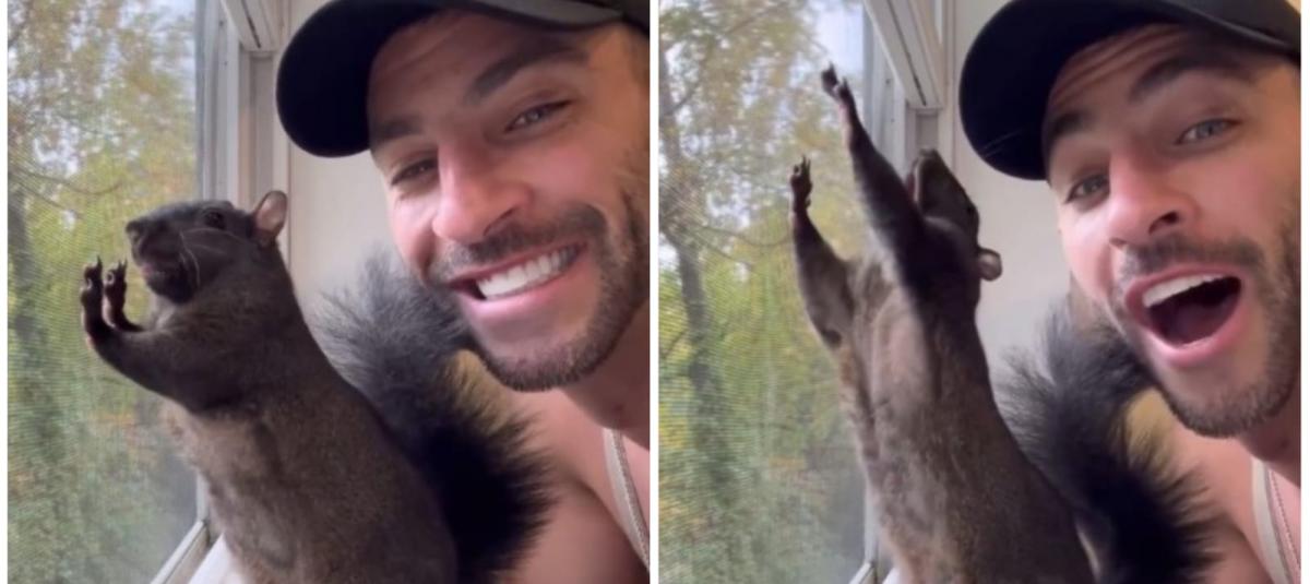 ¿Por qué sacrificaron a Peanut, la ardilla viral de Instagram? Autoridades de Nueva York se ...