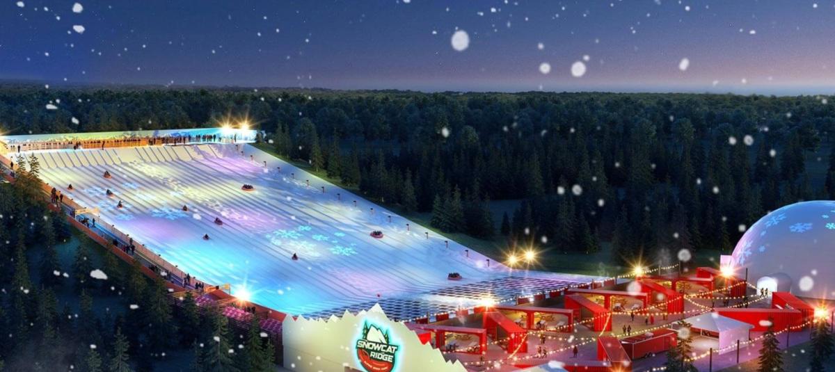 El lugar de Florida donde puede experimentar caída de nieve real y ...