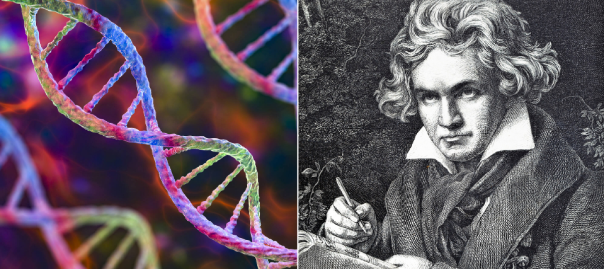 El ADN del cabello de Beethoven revela aspectos inéditos sobre su salud ...