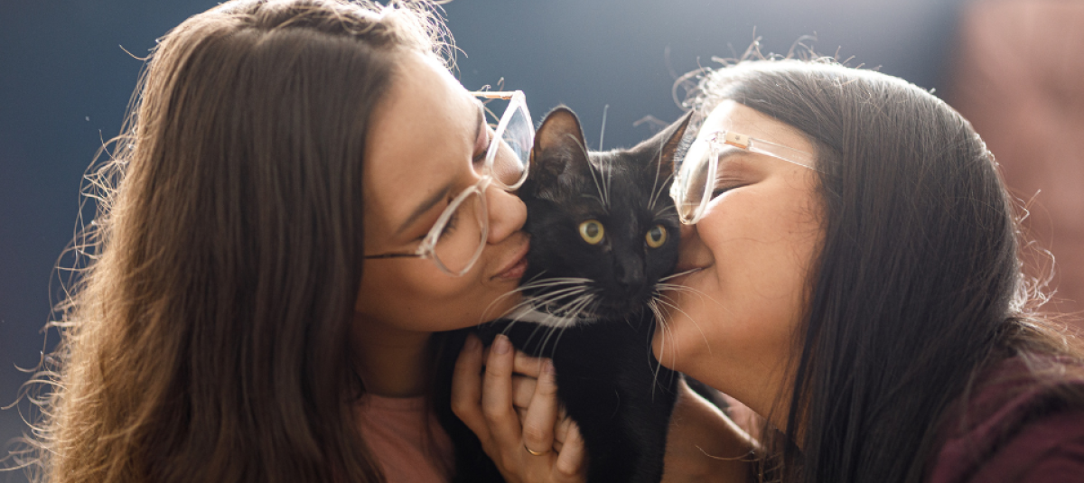 Personas que son amantes de los gatos: lo que dice la psicología de su ...