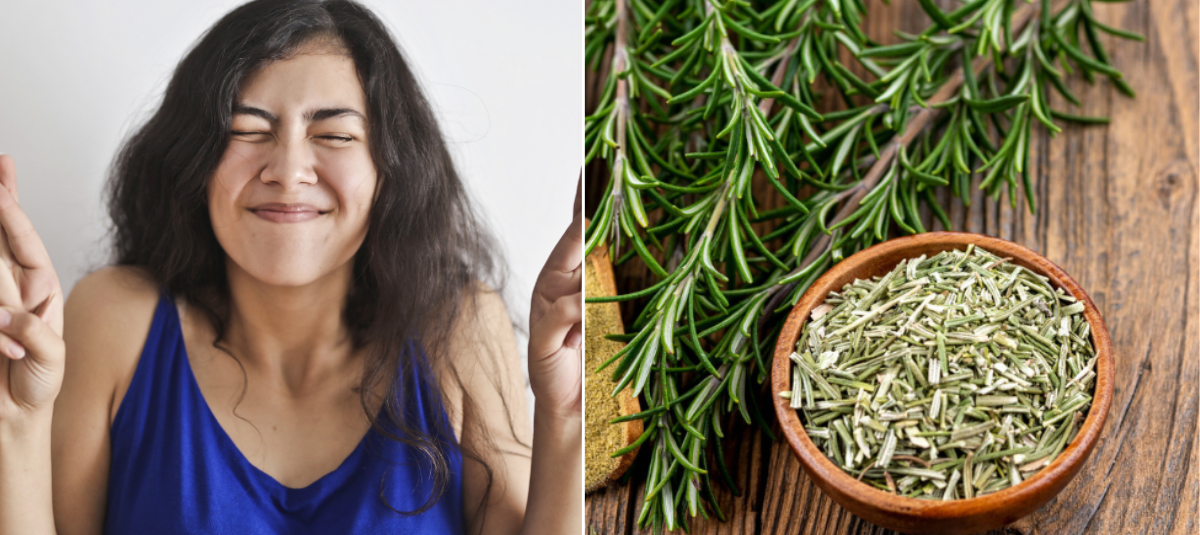 ¿Cómo atraer la buena suerte en Navidad con la planta de romero? Así es el ritual que hay que ...