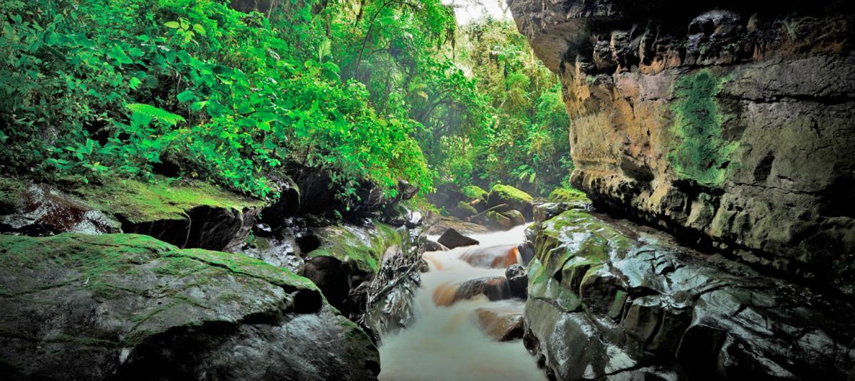 Los 5 parques naturales imprescindibles de Colombia para visitar en 2025
