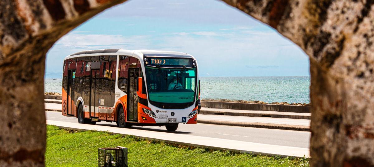 Cartagena: Transcaribe se renueva con 50 nuevos buses y otras mejoras ...