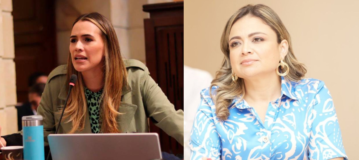 Choques entre las representantes Garrido y Carrascal: reforma de la ...