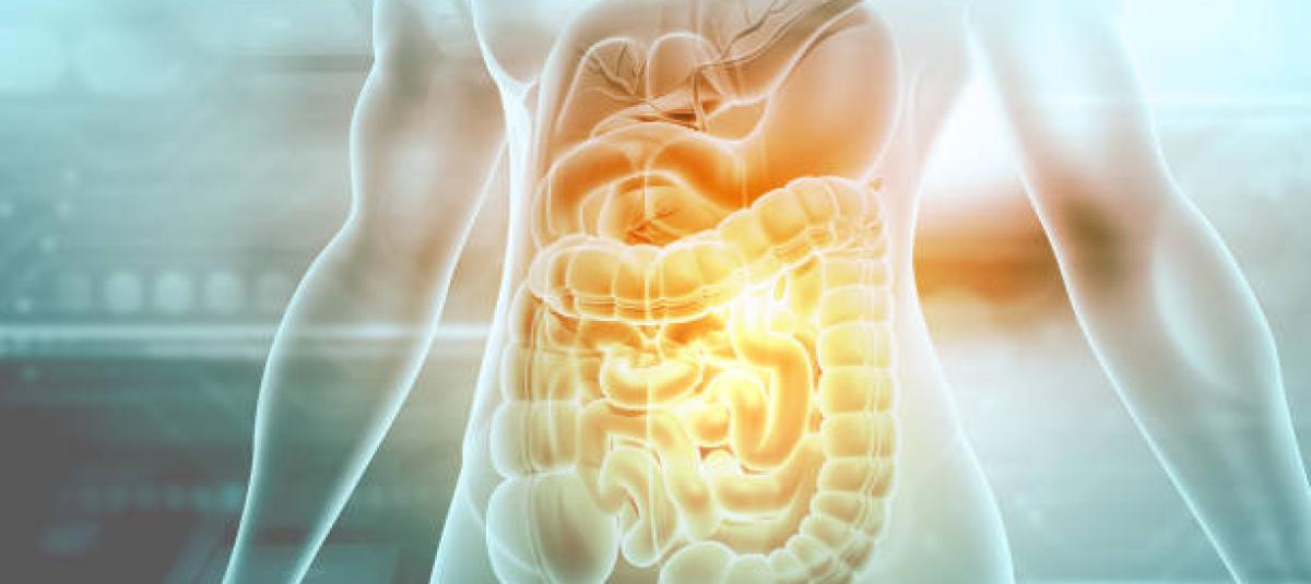 12 alimentos buenos para el intestino y ricos en proteínas que un ...
