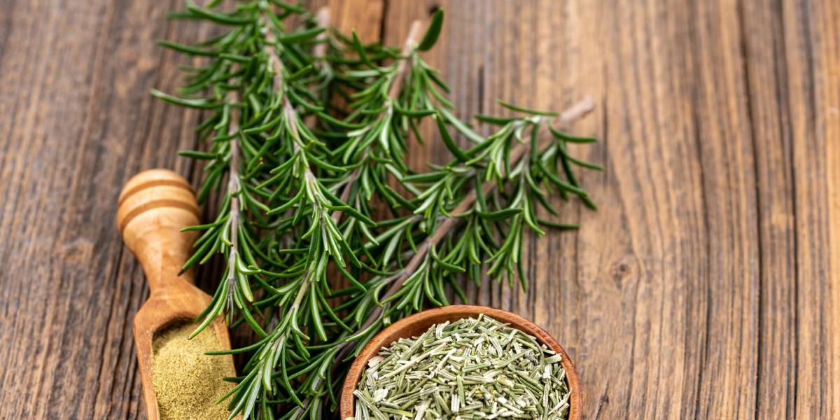 Los 5 beneficios del té de romero para la salud diaria