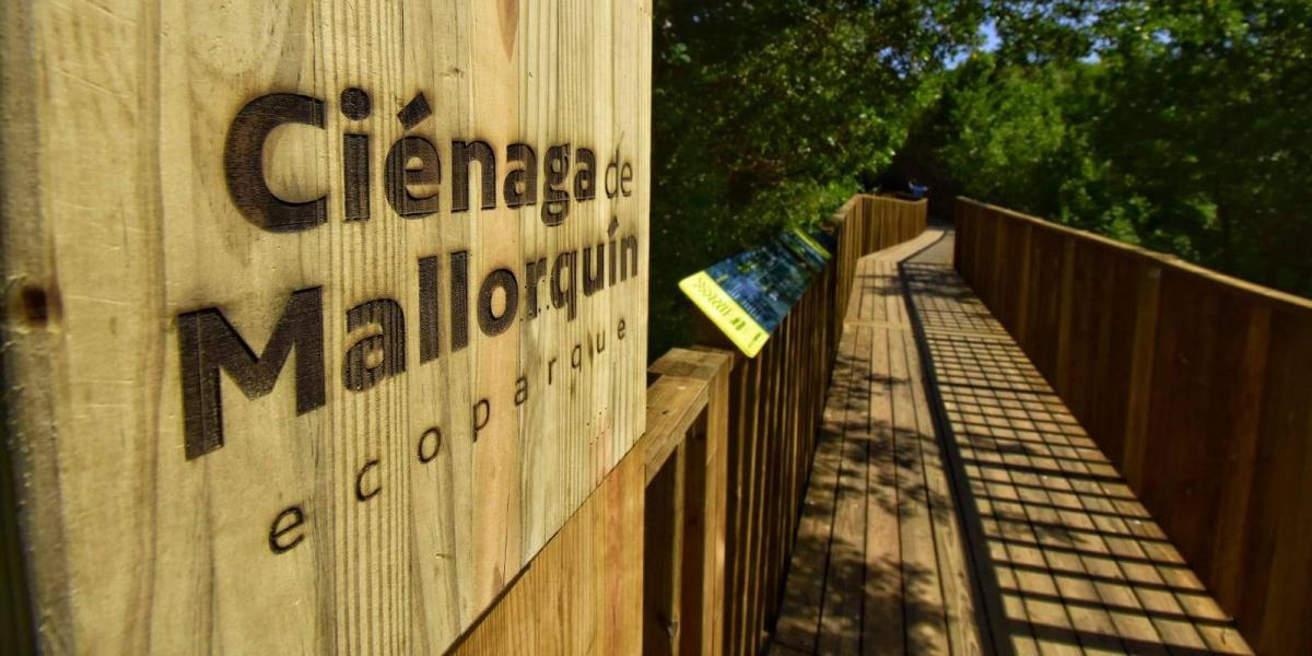 Las hermosas imágenes del ecoparque de Mallorquín en Barranquilla