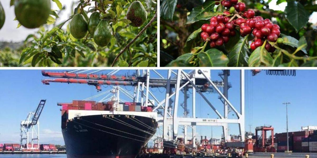 Recuperación de las exportaciones de Colombia solo duró 1 mes: en febrero cayeron 10,1