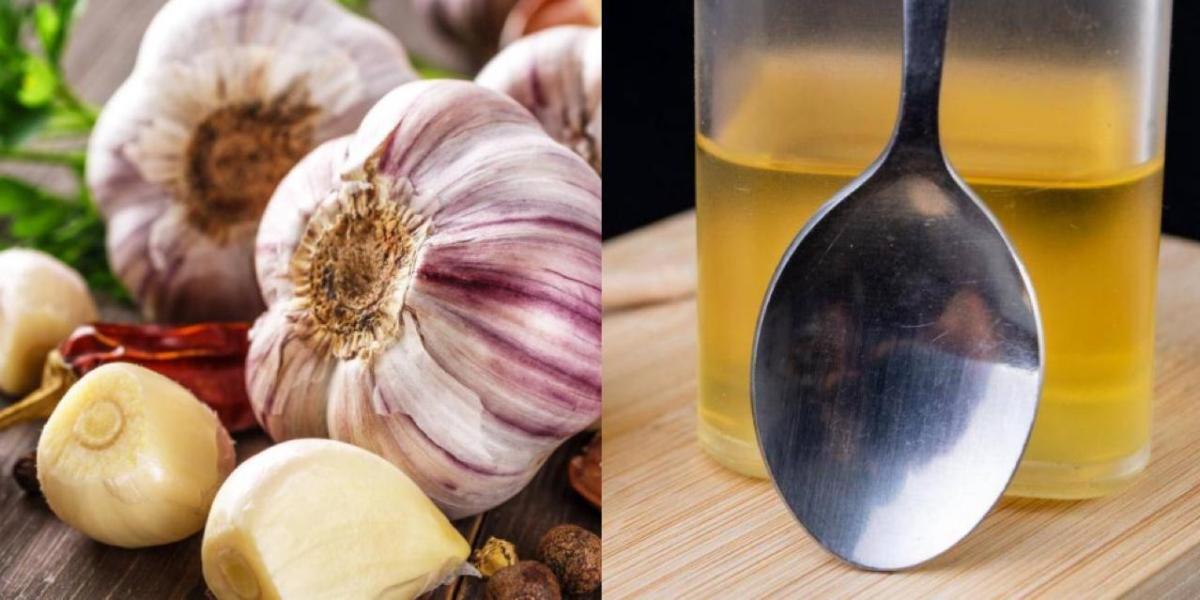 Comer ajo en ayunas y antes de dormir: los poderosos beneficios para la ...