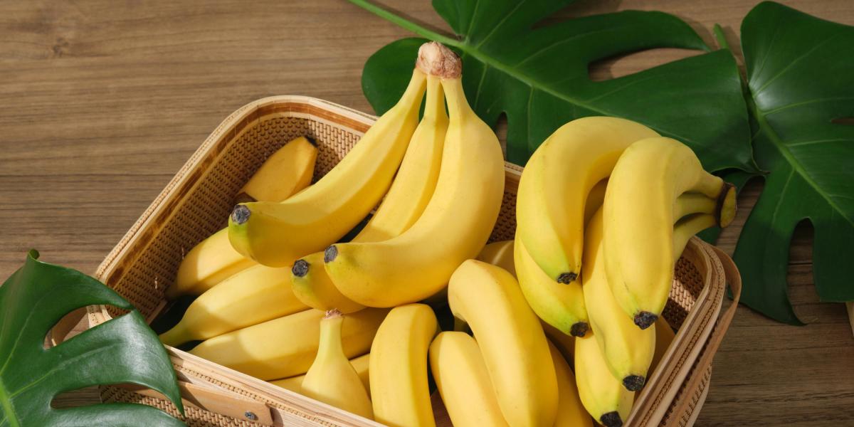 El banano está en peligro de extinción y la ciencia trabaja duro para ...