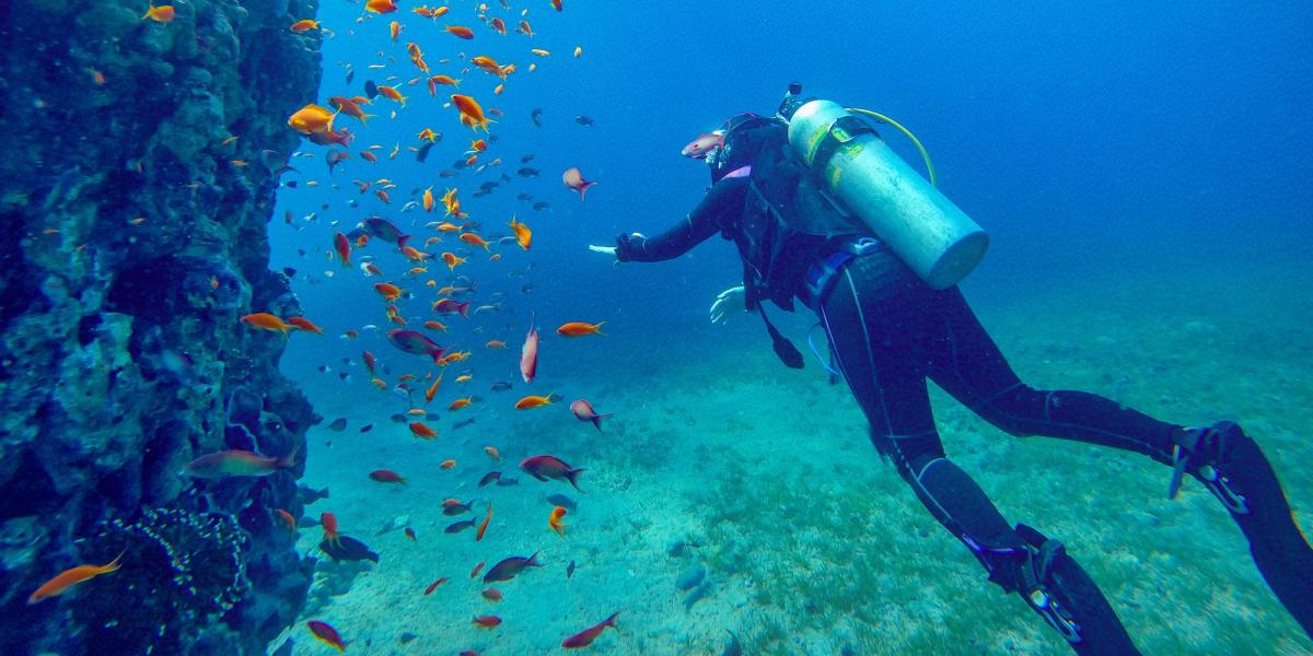 Los mejores lugares de Florida para bucear, según mi nivel de habilidad