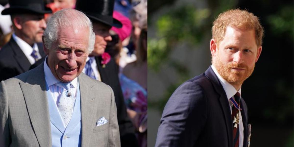 El rey Carlos III y el príncipe Harry: ¿su relación padre e hijo está ...