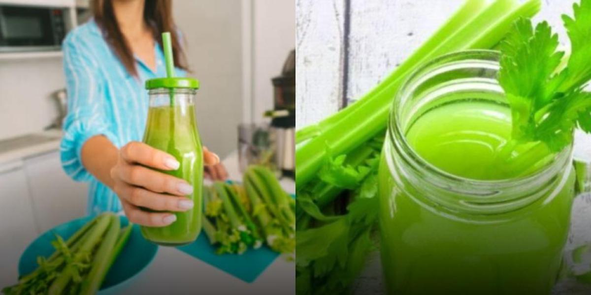 Agua de apio: estas son las propiedades, beneficios y efecto en los riñones de esta bebida natural