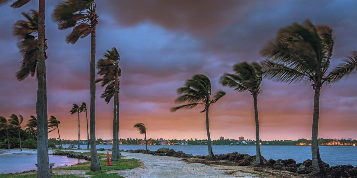 Clima en Florida: ¿cuál es el pronóstico para la semana con alerta por ...