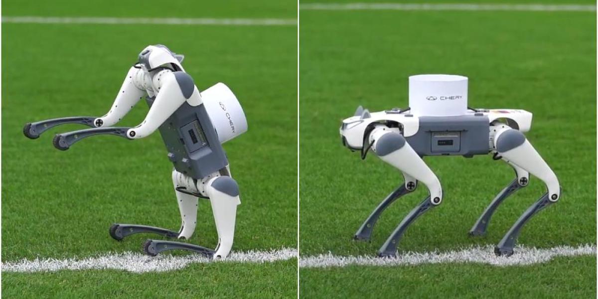 Video | Llega a Colombia 'Dory', el perro robot de Chery que integra ...